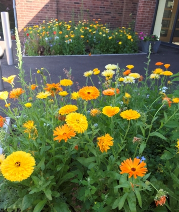 QAC Queen Alexandra College Birmingham - National college for people ...